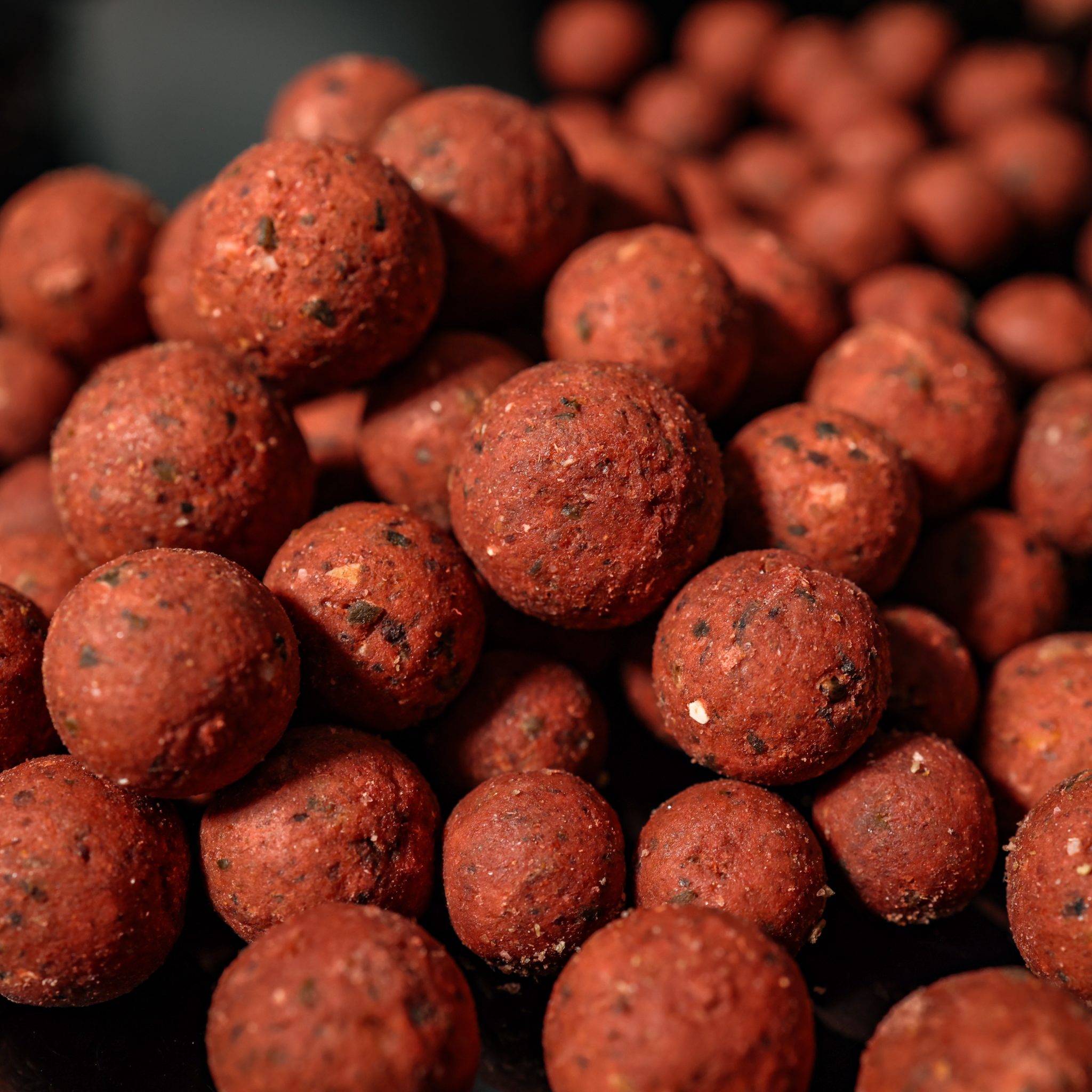 RED SEA SQUID Freezer Bait : RG Baits